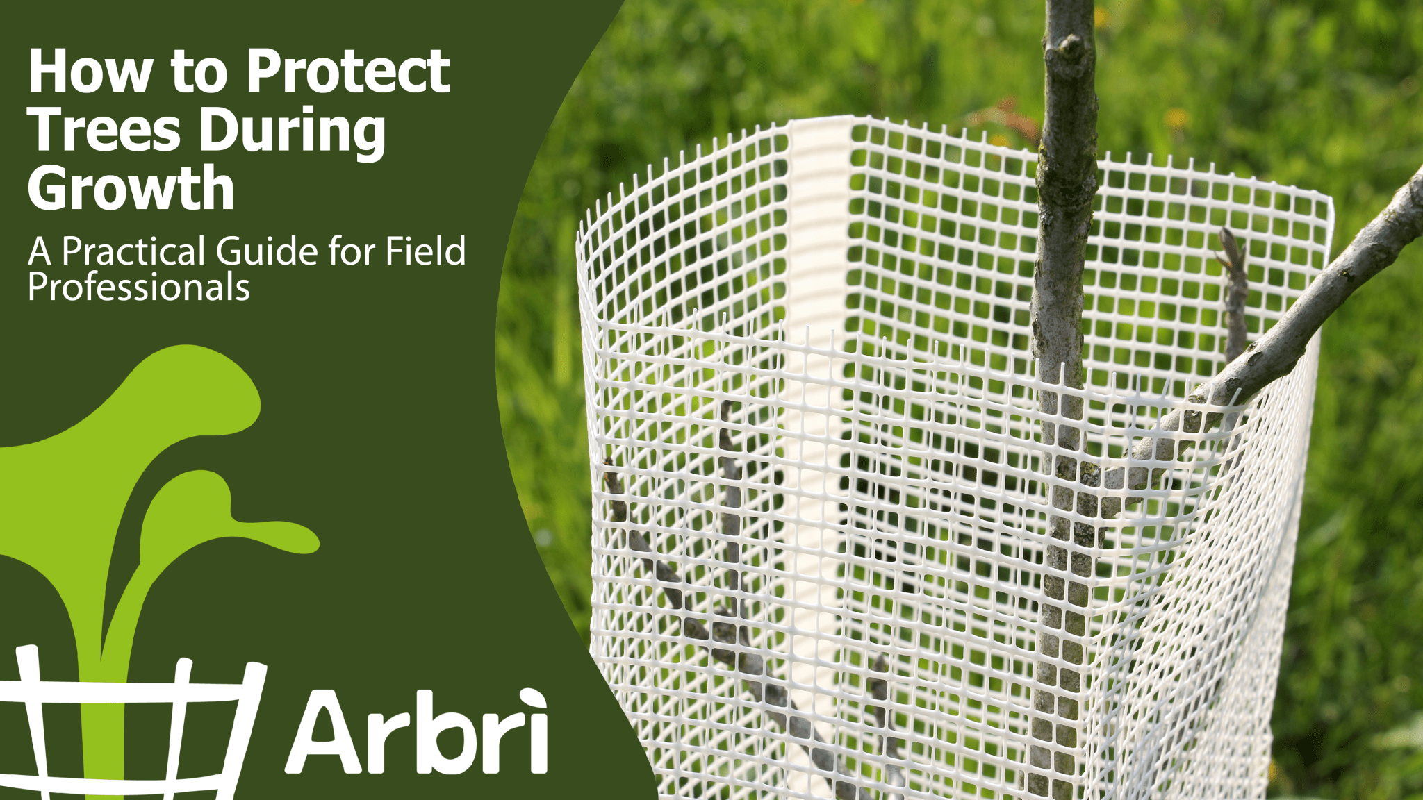 How to protect Plants during growth: a professional guide – Arbri Store